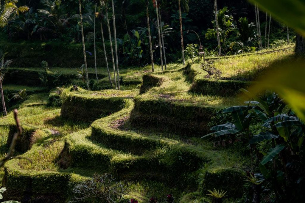 27 BEST Countries to Visit in October Around the World 2026